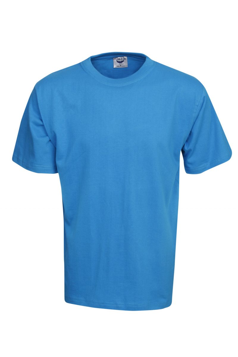 T04 Premium Pre-Shrunk Cotton T-Shirt - Blue Whale